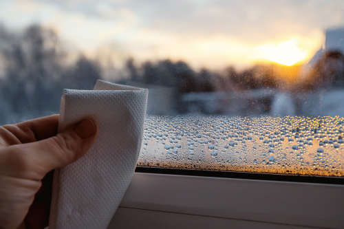 Moisture on Windows: Causes & Solutions | Perth Window Experts